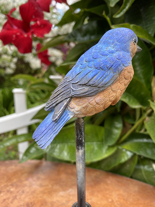 Eastern Bluebird – Obsessed with Owls Woodcarving & Photography Studio