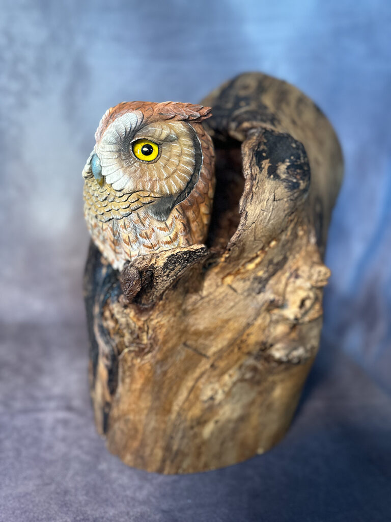 Obsessed with Owls Woodcarving & Photography Studio – Realistic ...